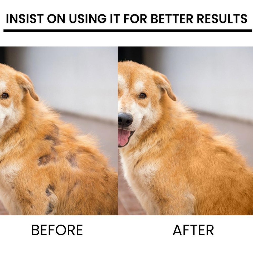 Dog&Cat Hair Regrowth Spray Pet Hair Loss Treatment Promote Furs Hair ...