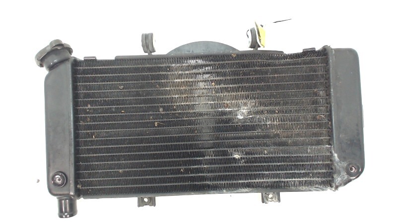Yamaha TDM 900 2002-2009 2003 RADIATOR | eBay