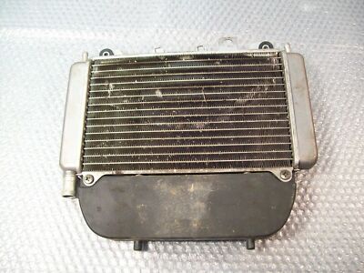 WATER RADIATOR FOR PIAGGIO X9 250 FROM 2001 (e18715) | eBay Australia