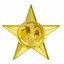 PinMart's Military 3D 5 Point Gold Star Lapel Pin | eBay