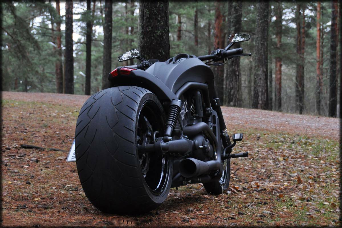 Harley Davidson Night Rod Custom In India - Infoupdate.org