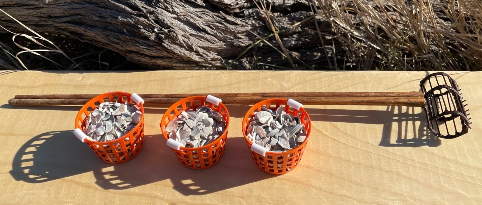 MINIATURE OYSTER TONGS, HAND TONGS, 13 IN. LONG, NAUTICAL ACCESSORY, 1: ...