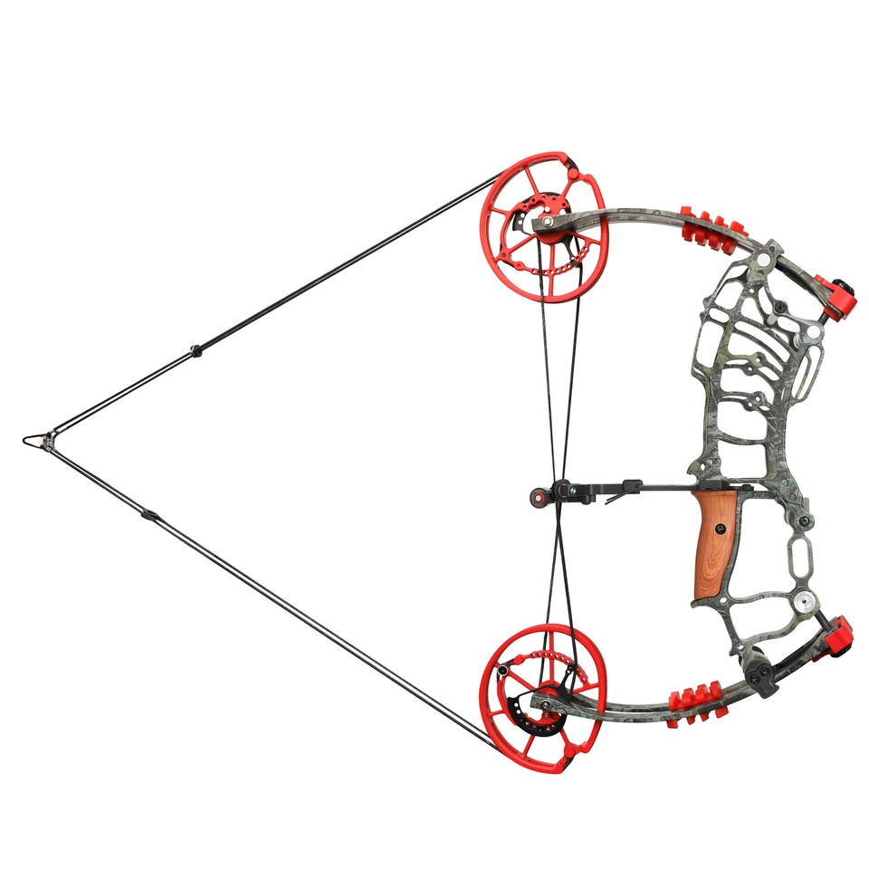 Archery Dual-use Compound Bow 30-60lbs Let-off 80% Bow Hunting Shooting ...