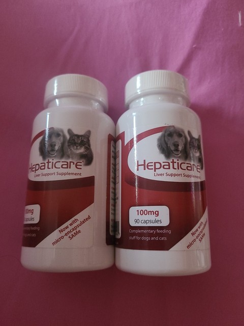 Hepaticare Liver Supplement Support for Pets Dogs Cats 100 MG 90 ...