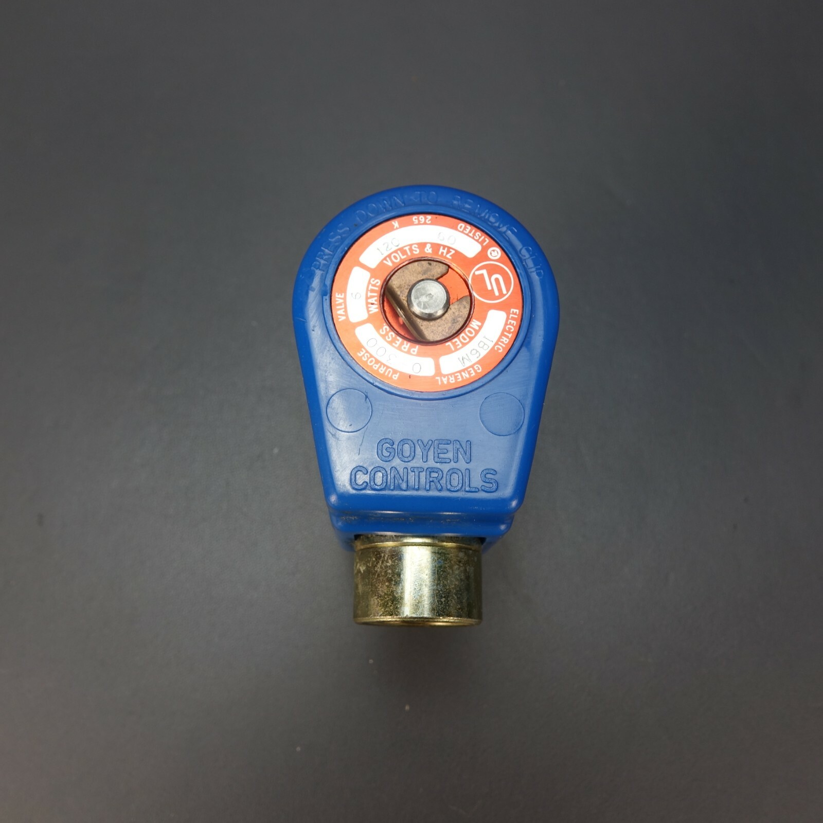 GOYEN CONTROLS Control Valve 1B6M 120V 60HZ 300 PSI 6 watts - NEW | eBay