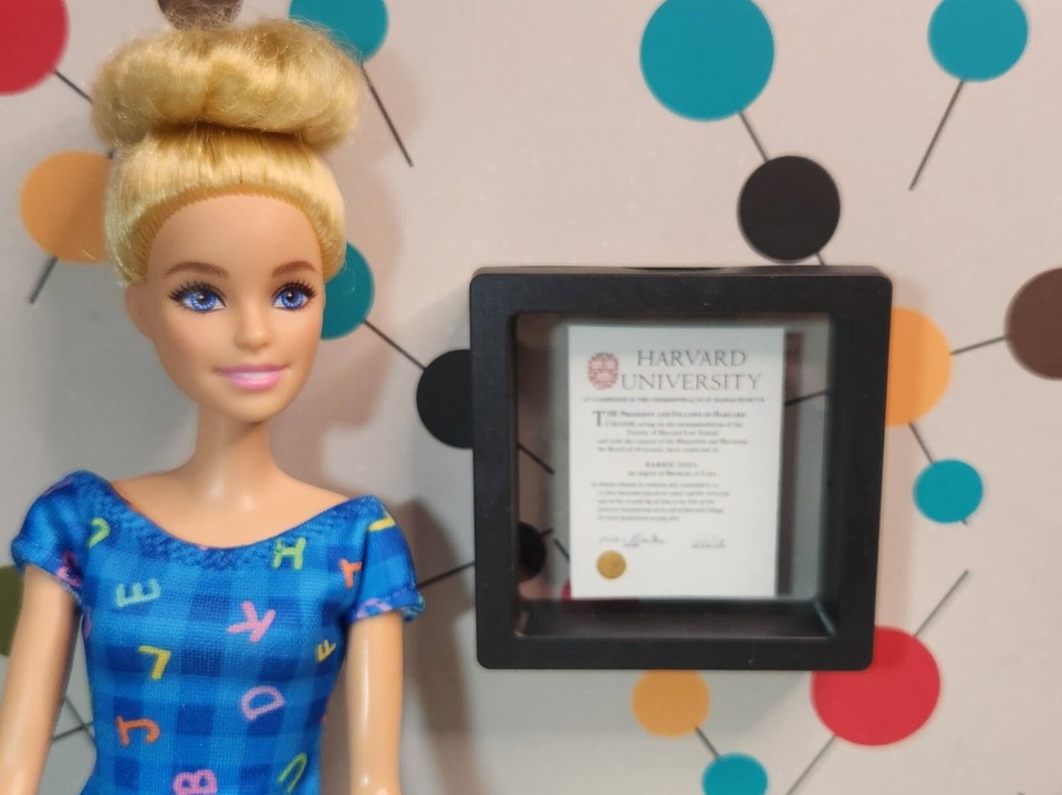 1/6 SCALE Miniature CUSTOM College Diploma, Marriage, Birth Certificate ...