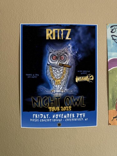 Ritz Concert Nov 7 2025 Chesterfield MI Poster Tour Event Art Print | eBay