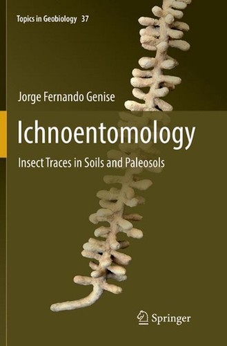 Ichnoentomology: Insect Traces in Soils and Paleosols by Jorge Fernando ...