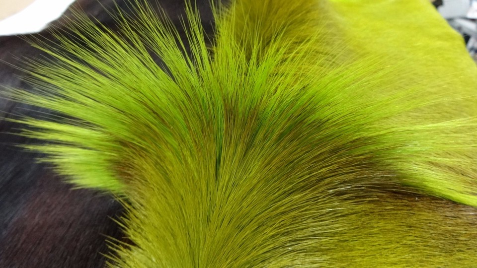 Dyed Springbok Skin Large Top quality antelope skin in assorted dyed ...