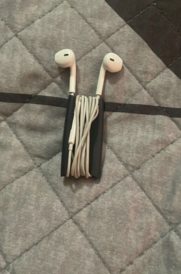 Apple EarPods with Remote and Microphone - White (Included Wrap Case ...