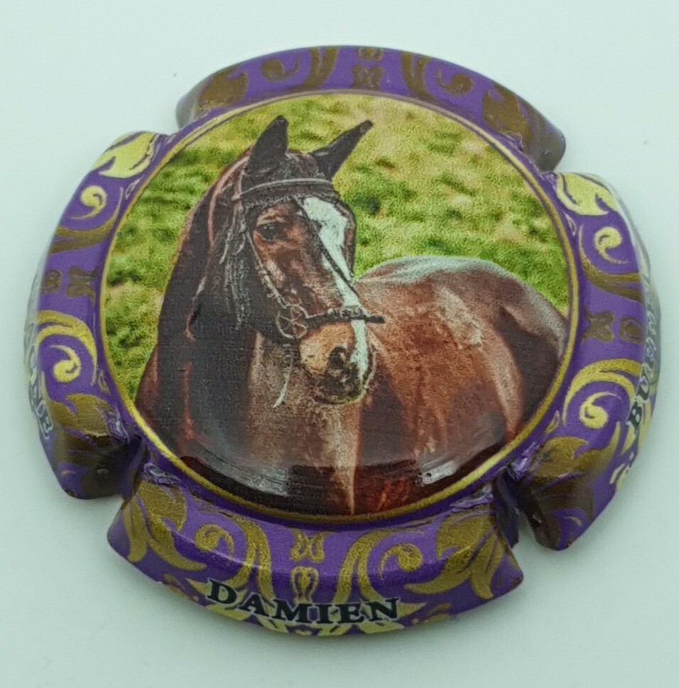 Capsule Cheval Chevaux d’occasion