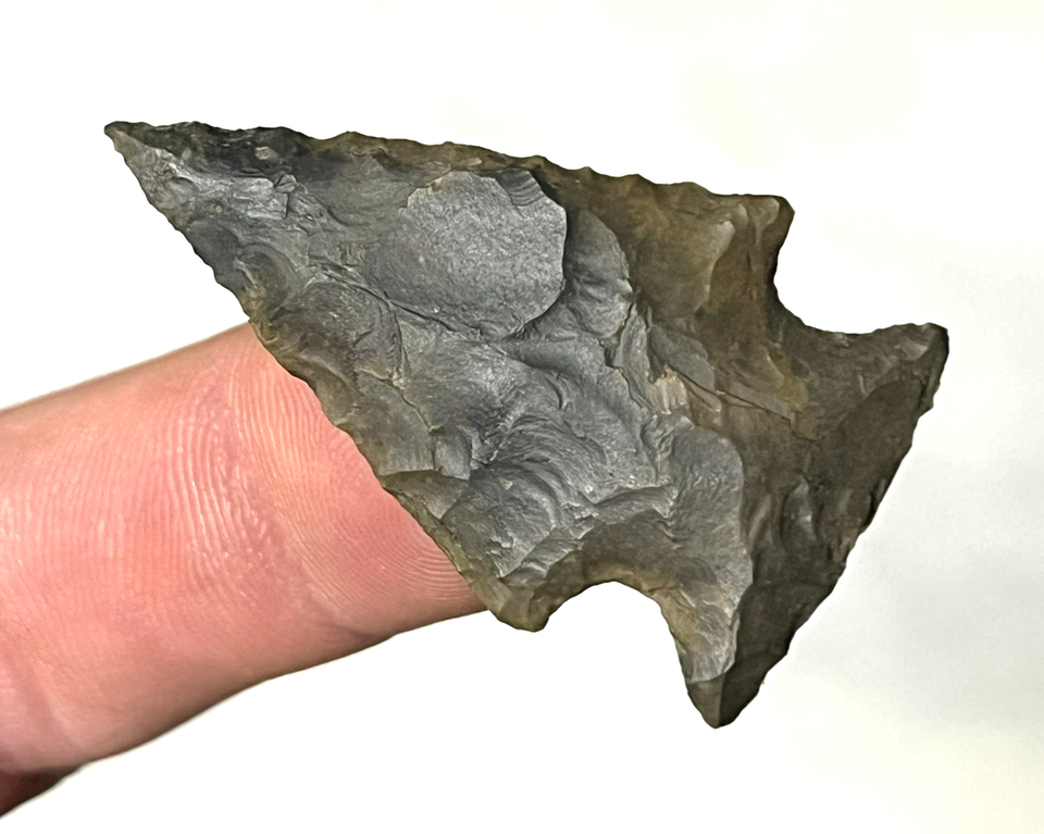 EXCEPTIONAL ENSOR POINT TEXAS AUTHENTIC ARROWHEAD INDIAN ARTIFACT TT2 ...