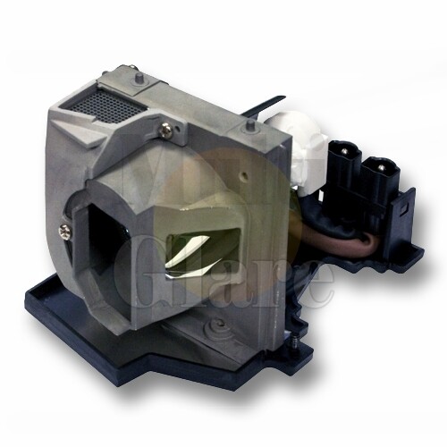 Original bulb inside Lamp Module for OPTOMA DV11 MOVIETIME | eBay Australia