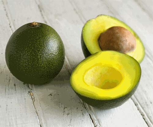 4 Pounds (4 or 5 pcs) Freshly Picked California REED Avocados from ...