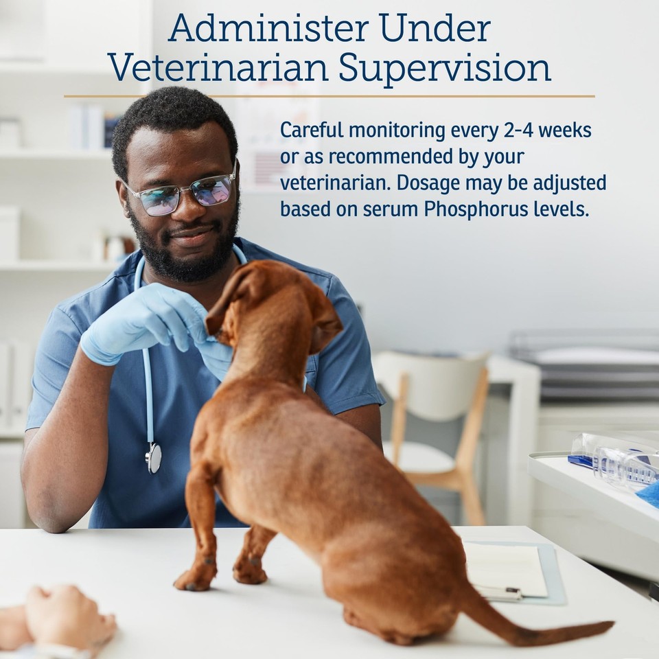 Phos-Bind - Kidney Support Supplement Powder - Phosphate Binder for ...