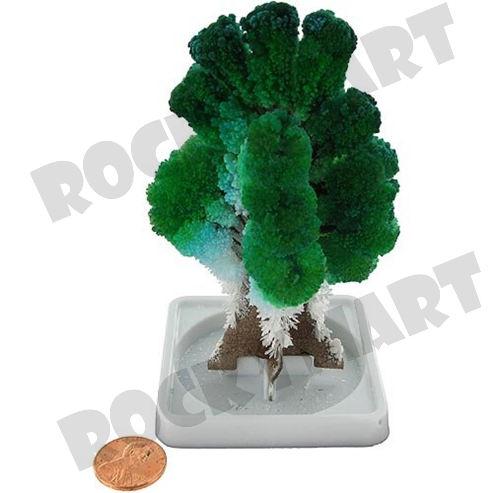 Magic Growing Tree COLORS Science Fun For Kids of all Ages Grows in ...