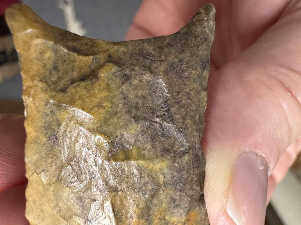 Suwannee Simpson Clovis Arrowhead Arrowheads Paleo Indian Artifact FL ...
