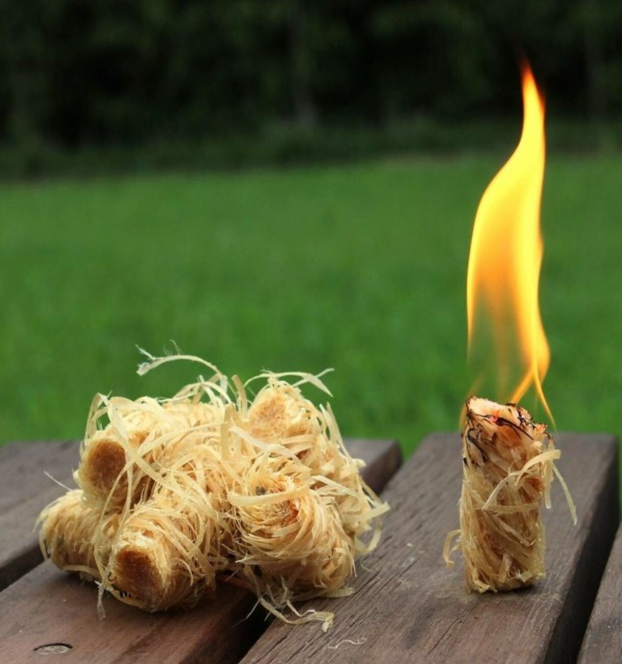 Wood Wool Wax Firelighters Natural ECO Long Burn Fire FSC CERT Bulk 1 ...