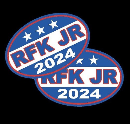 Pair Oval Car Decals , Robert F Kennedy jr 2024 RFK President 5" Bumper ...