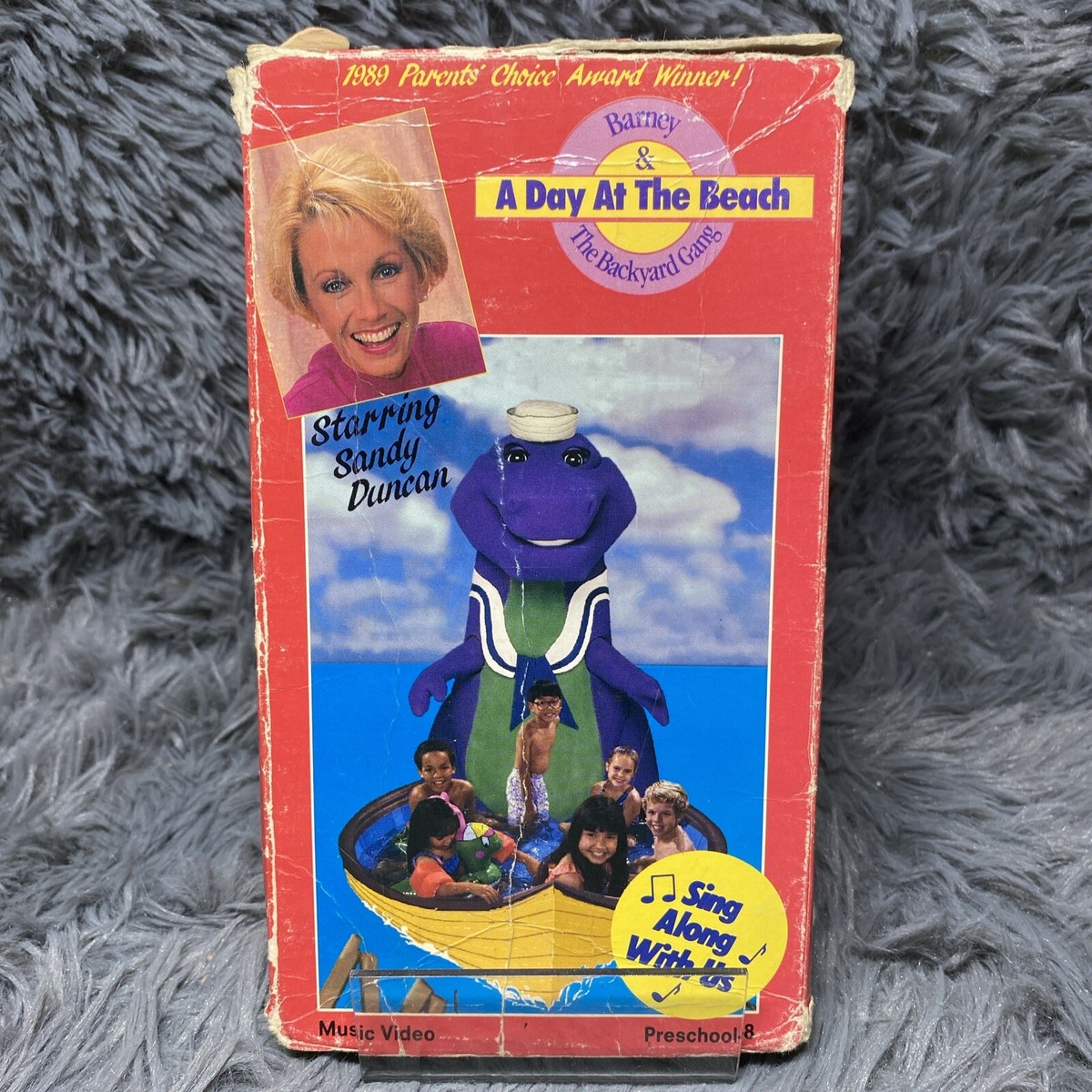 Barney And The Backyard Gang A Day At The Beach