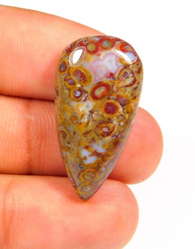 30.CT 100% Naturel Rouge Palmier Racine Agate Poire Cabochon Fossilisé ...