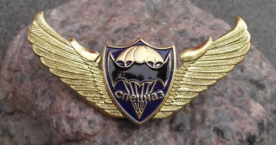 Soviet Union Military Army Parachute Regiment Parachutist Bat Motif Pin ...