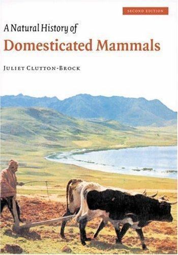 Natural History of Domesticated Mammals by Juliet Clutton-Brock (1999 ...