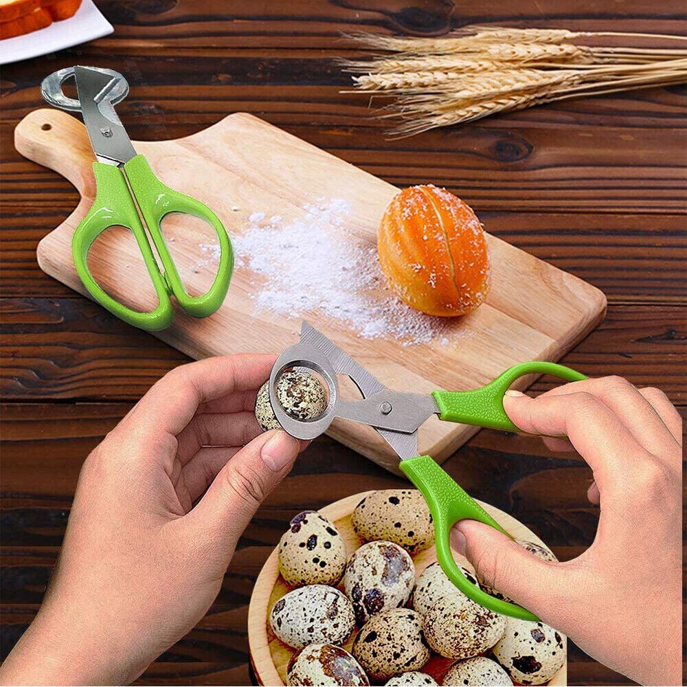 1x Stainless Steel Pigeon Quail Egg Scissor Birds Eggshell Cut Opener ...