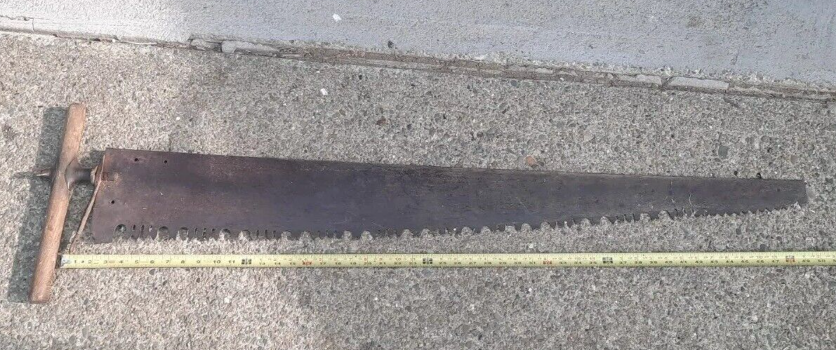 VINTAGE One Man Crosscut Saw In Nice Condition 48" | eBay
