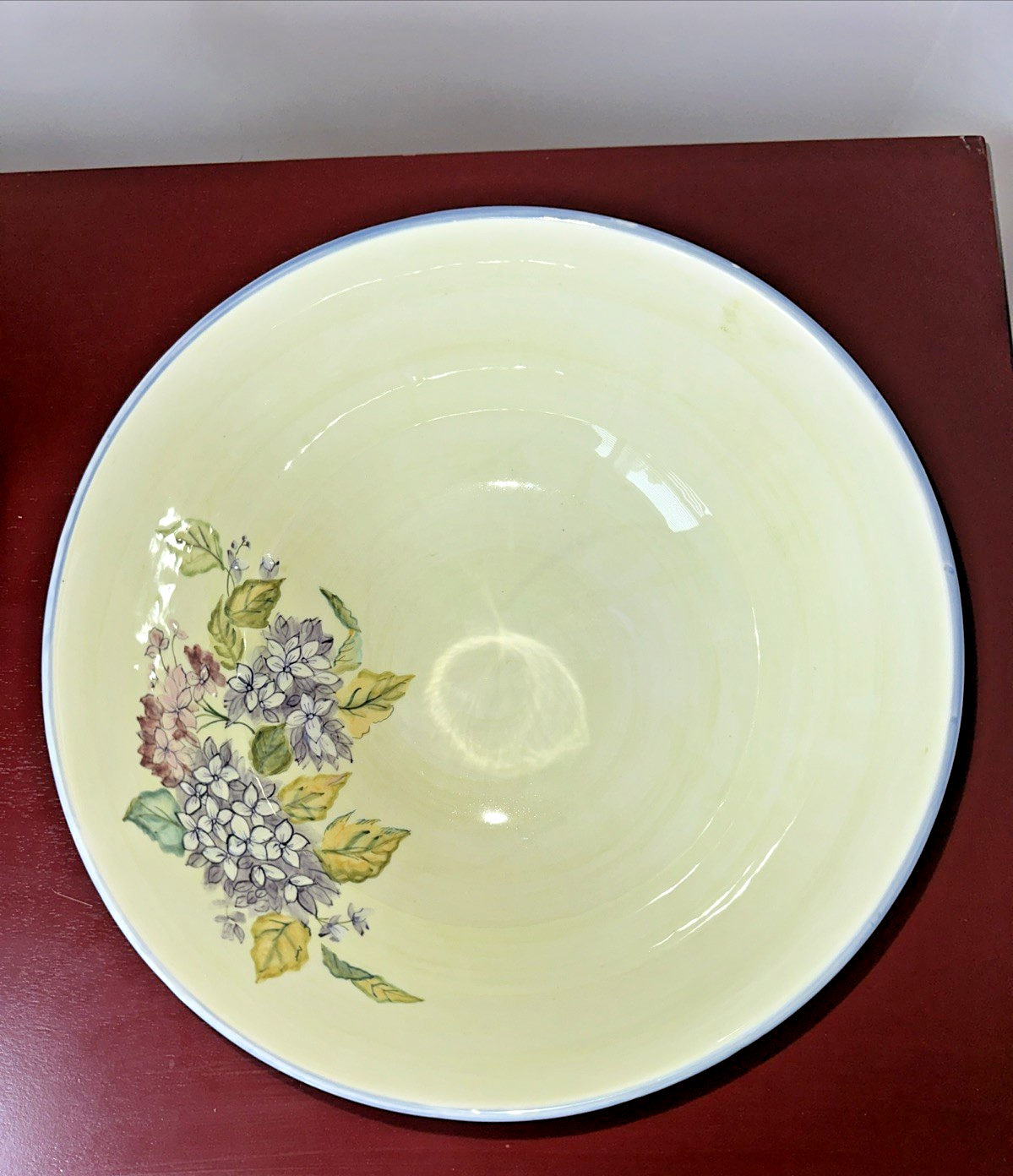 ZRIKE Hydrangea Hand Painted Dragonfly Deep Ceramic 13" Serving Bowl ...