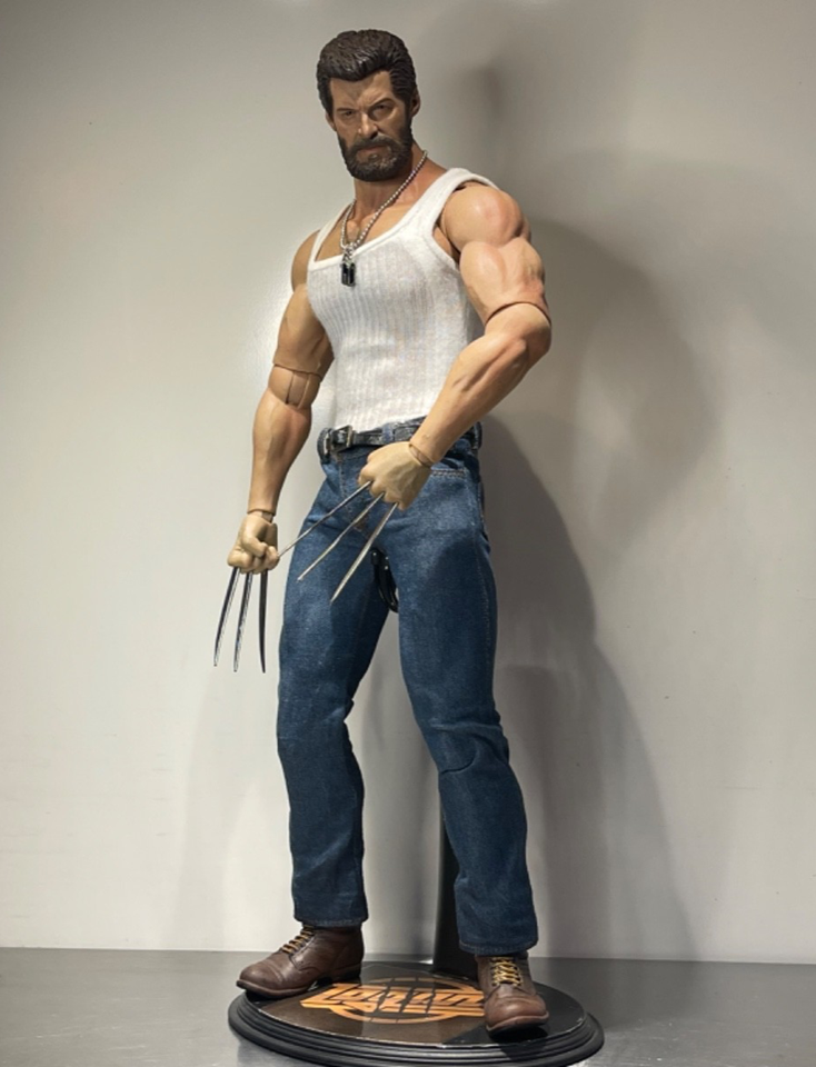 1:6 Custom Logan Wolverine 12" Figure & Stand WorldBox Muscle Body ...