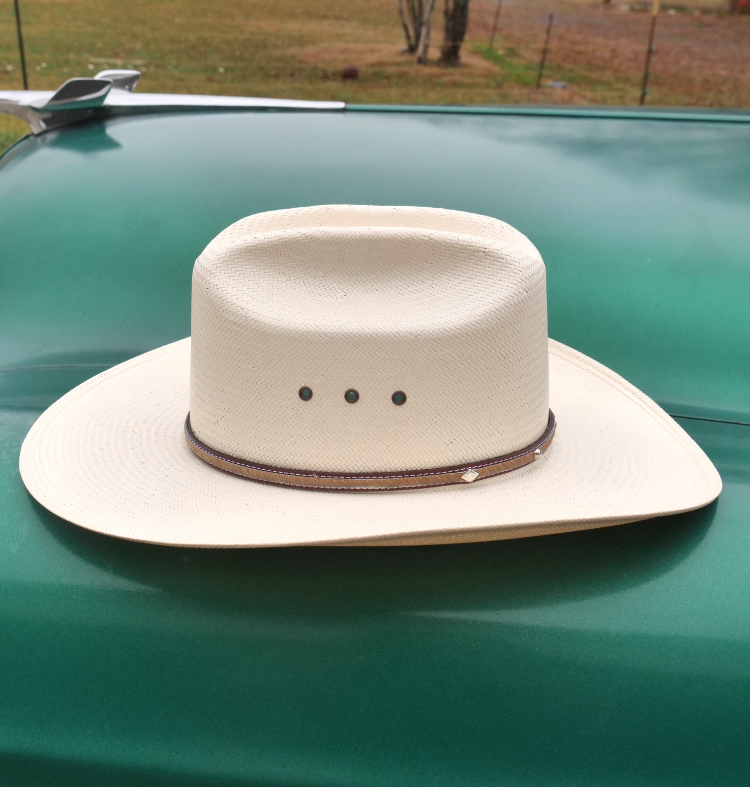 Stetson Angus 10x Straw Cowboy Hat | eBay