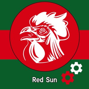 Red Sun Auto parts | eBay Stores