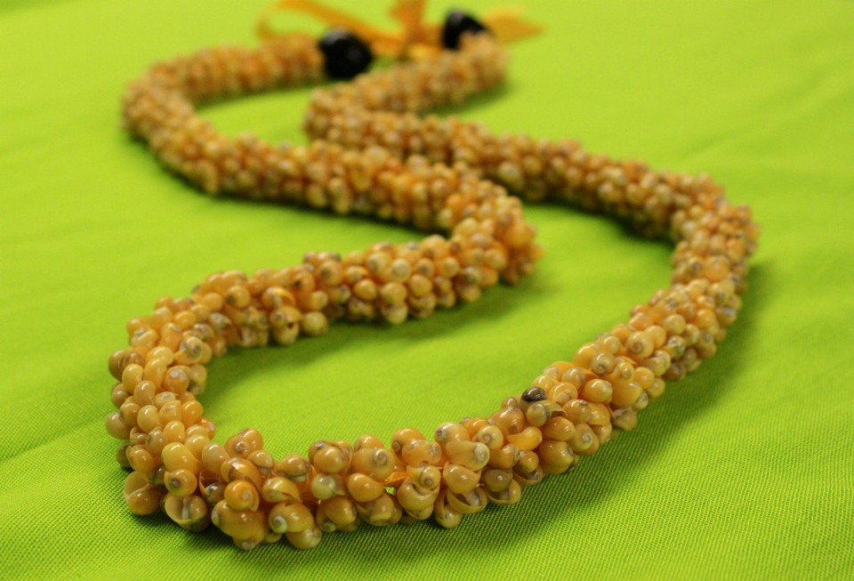 Hawaii Design Wedding / Graduation Mini Shell Lei Hula Jewelry Necklace ...