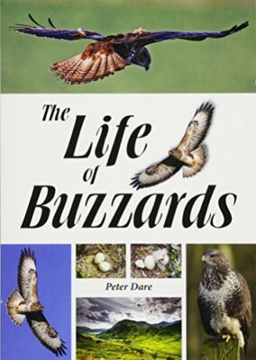 The Life of Buzzards by Dare, Peter Paperback / softback Book The Fast Free 9781849951302| eBay