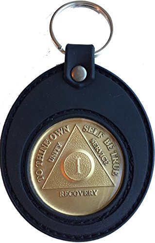 Universal AA Medallion or Coin Holder Keychain Black Soft Silicone ...