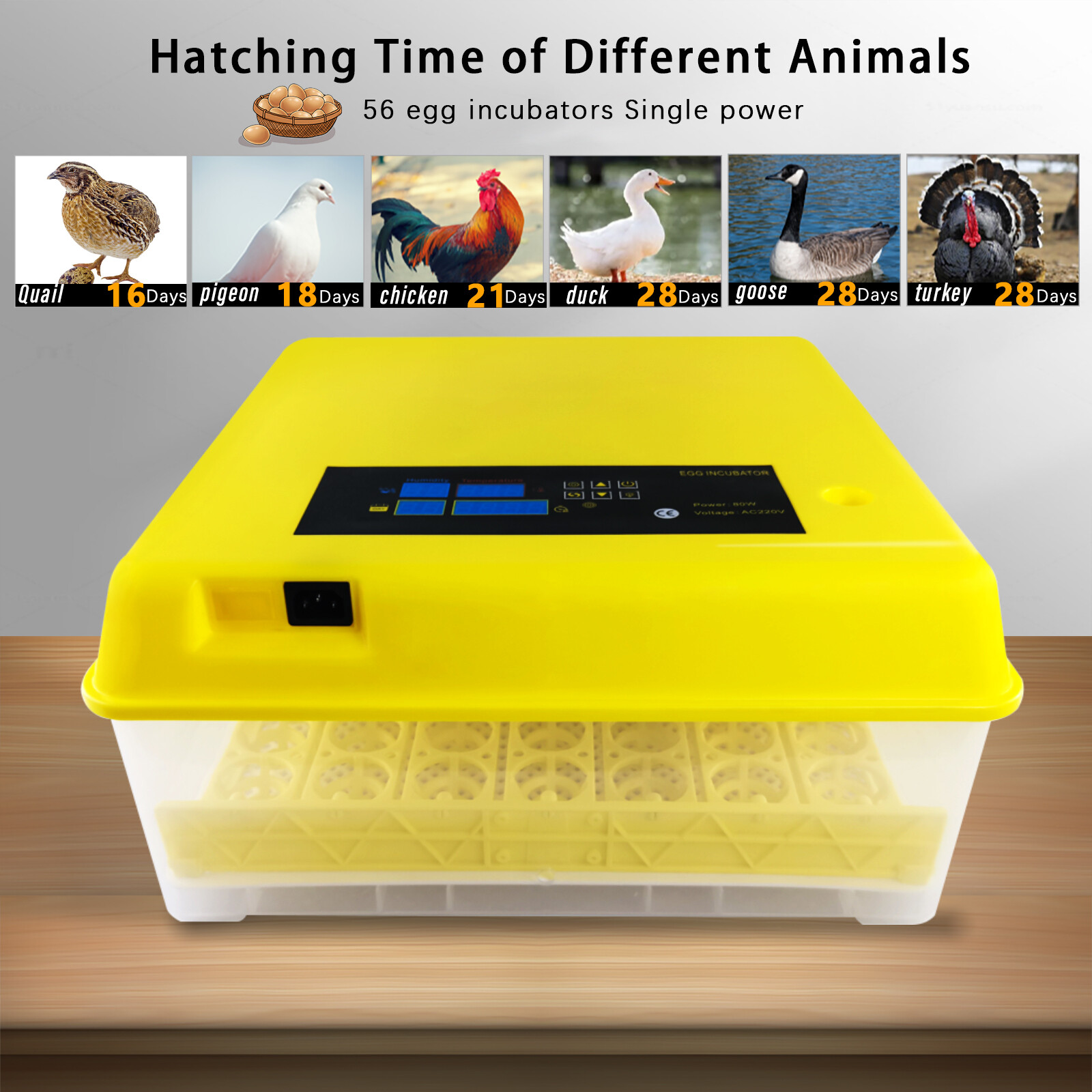 56 Digital Practical Eggs Incubator Egg Hatcher Temperature Auto ...