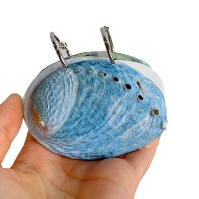 Natural Abalone Shell Notepad, Blue Shell,Creative Notebook | eBay