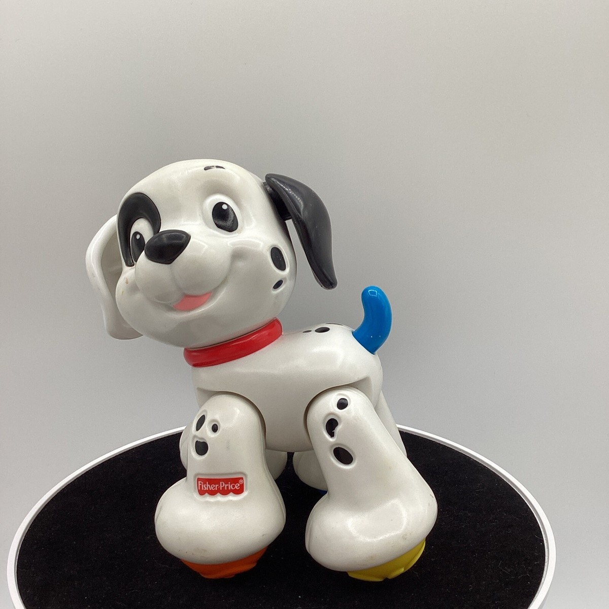 Dalmation Baby