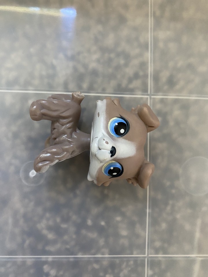 Littlest pet shop LPS Dogs, Cats, First 100! And More! Main 5 Collies ...