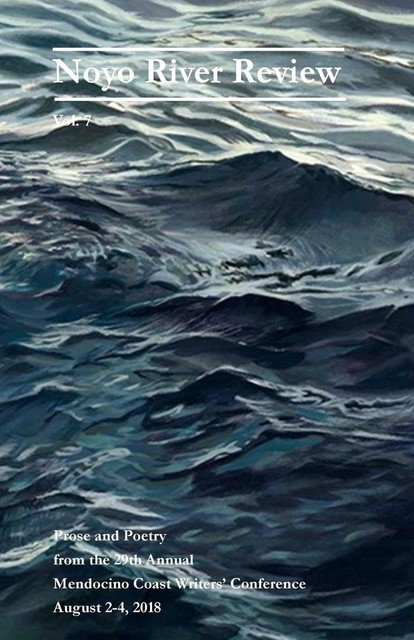 Noyo River Review von Susan Bono (2019, Taschenbuch) online kaufen ...