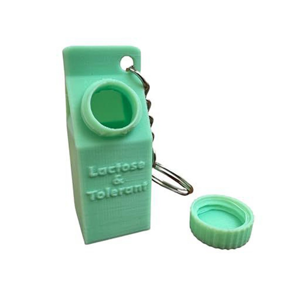 Lactose.and.Tolerant Pill Holder Milk Carton Keychain | eBay