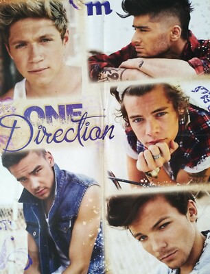 ONE DIRECTION - A2 Poster (XL - 40 x 52 cm) - 1D Zayn Malik USA ...