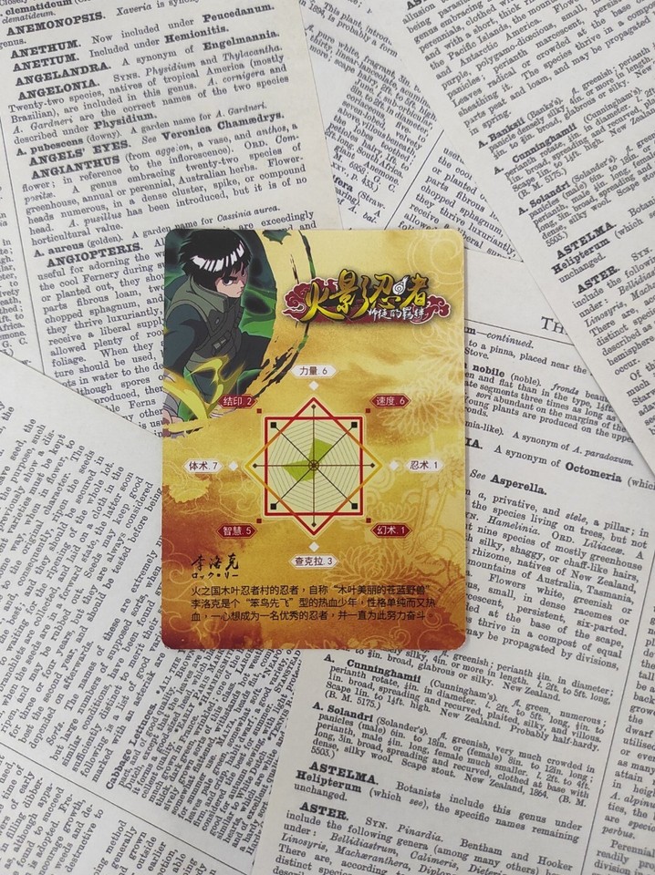Naruto Card Game TCG - Rock Lee v.2 - HOLO MINT FOIL - Rare - Serie ...