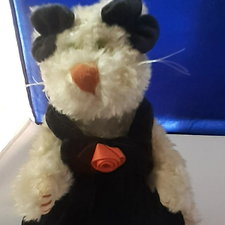 Persian Bombay | eBay Stores