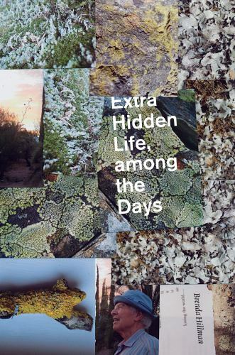 Extra Hidden Life, among the Days, Paperback by Hillman, Brenda, Like ...