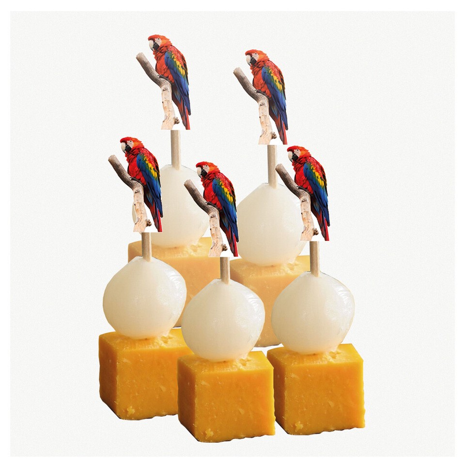 Parrot Bird Birthday Cupcake & Party Food Toppers Decorations Picks 14 ...