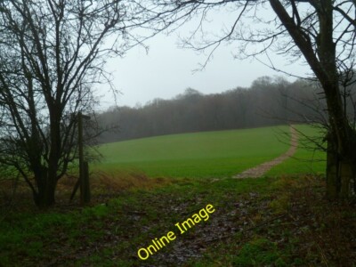 Photo 6x4 The path to the woods East Tisted The weather is too awful to ...