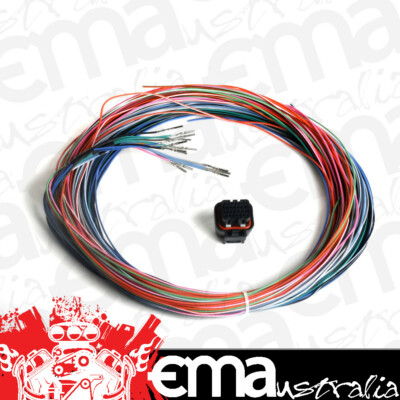 HOLLEY AUXILIARY HARNESS J2B CONNECTOR HO558-402 SUIT DOMINATOR EFI | eBay