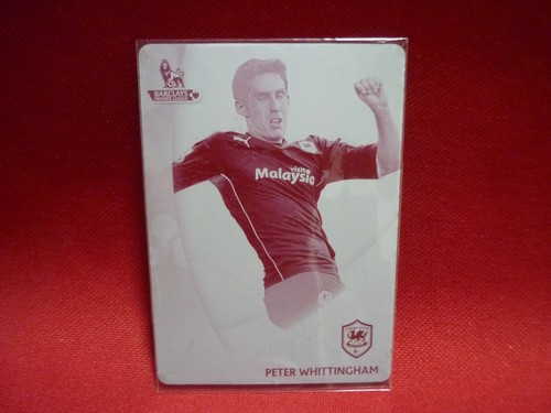 TOPPS PREMIER GOLD 2013 PETER WHITTINGHAM PRINTING PLATE CARD 1/1 ...